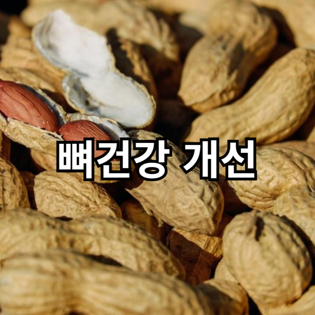 땅콩의 특별한 효능 11가지 (암, 심혈관, 뇌기능, 혈당 조절 등) - eonis