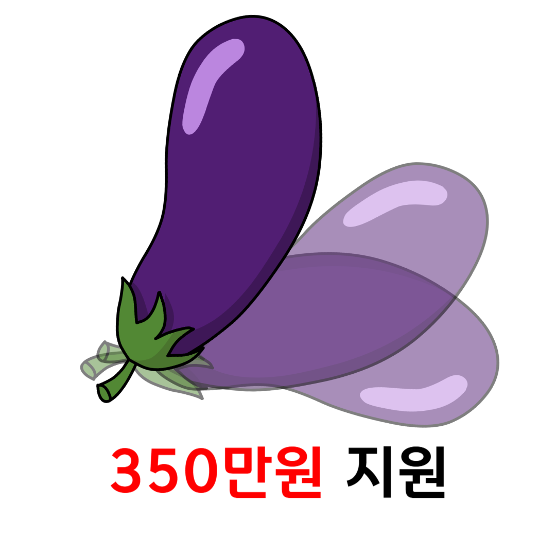 강남 본점 (350만원 지원 _ 선착순 20명) - eonis